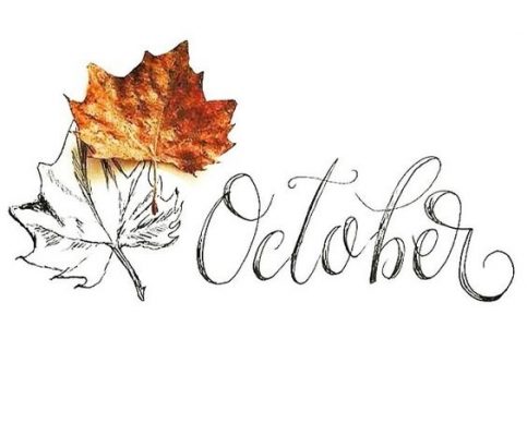 Octobre : Tout ce que tu dois savoir sur les sorties du mois - Funkidole